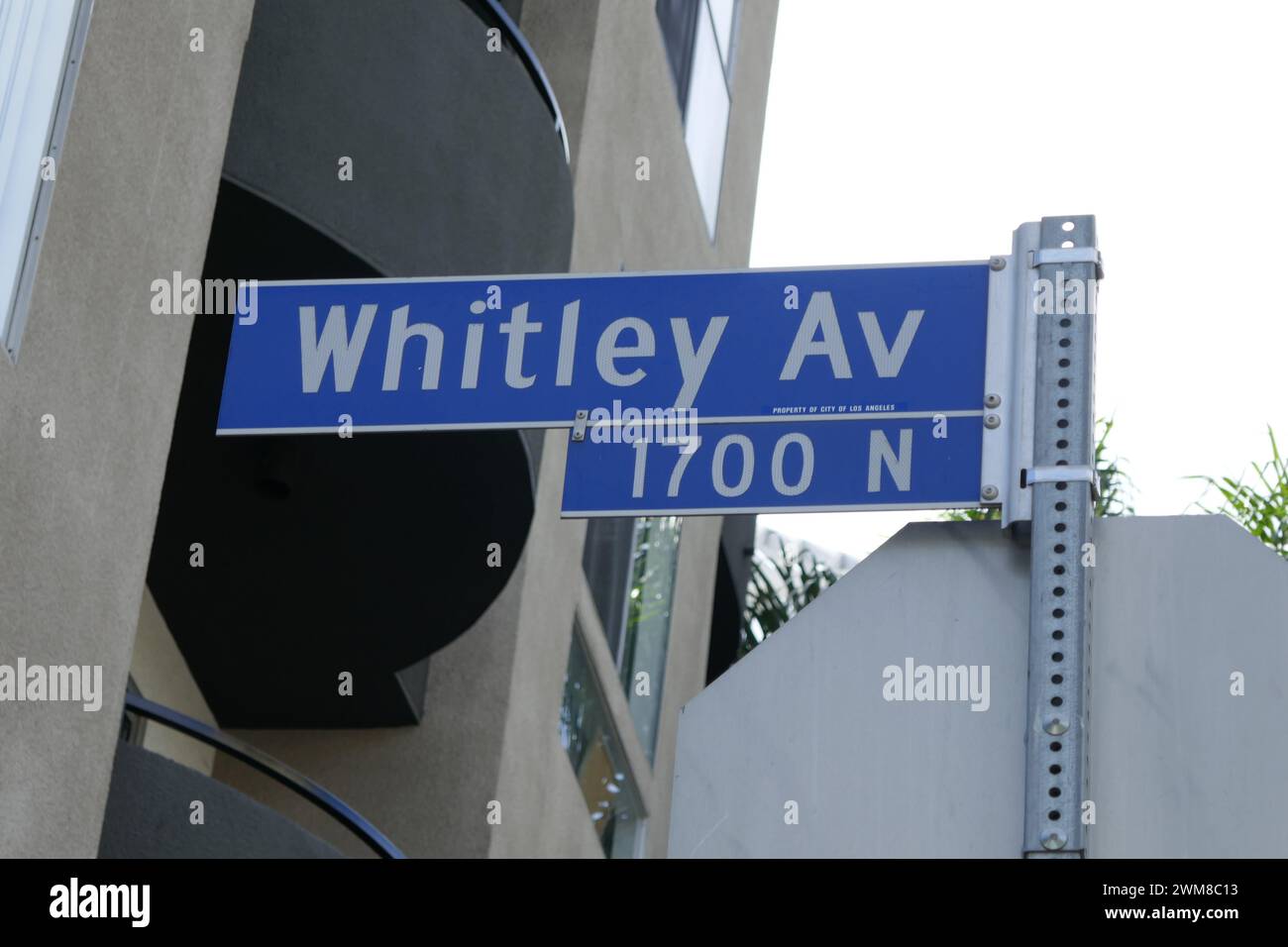Los Angeles, California, USA 21st February 2024 Actor Anthony Cipolla ...