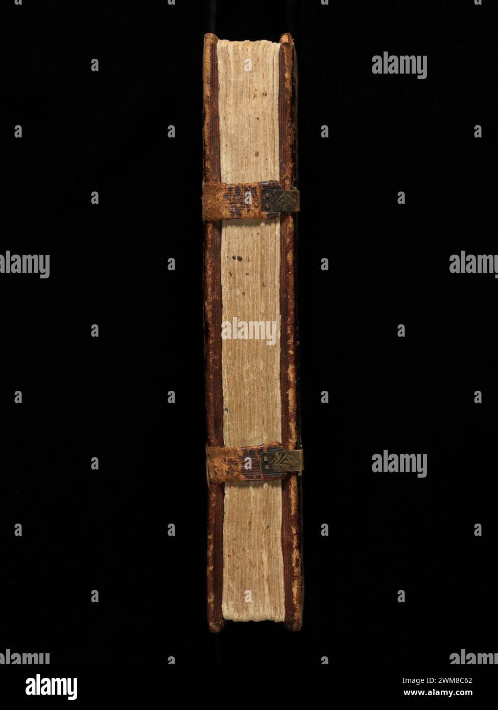 Cod. 402, Fore edge – Corpus Theophrasticum, Corpus Aristotelicum Stock ...