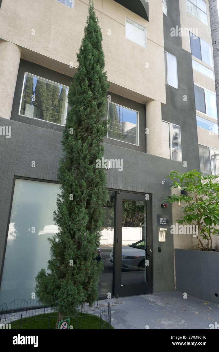 Los Angeles, California, USA 21st February 2024 Actor Anthony Cipolla ...