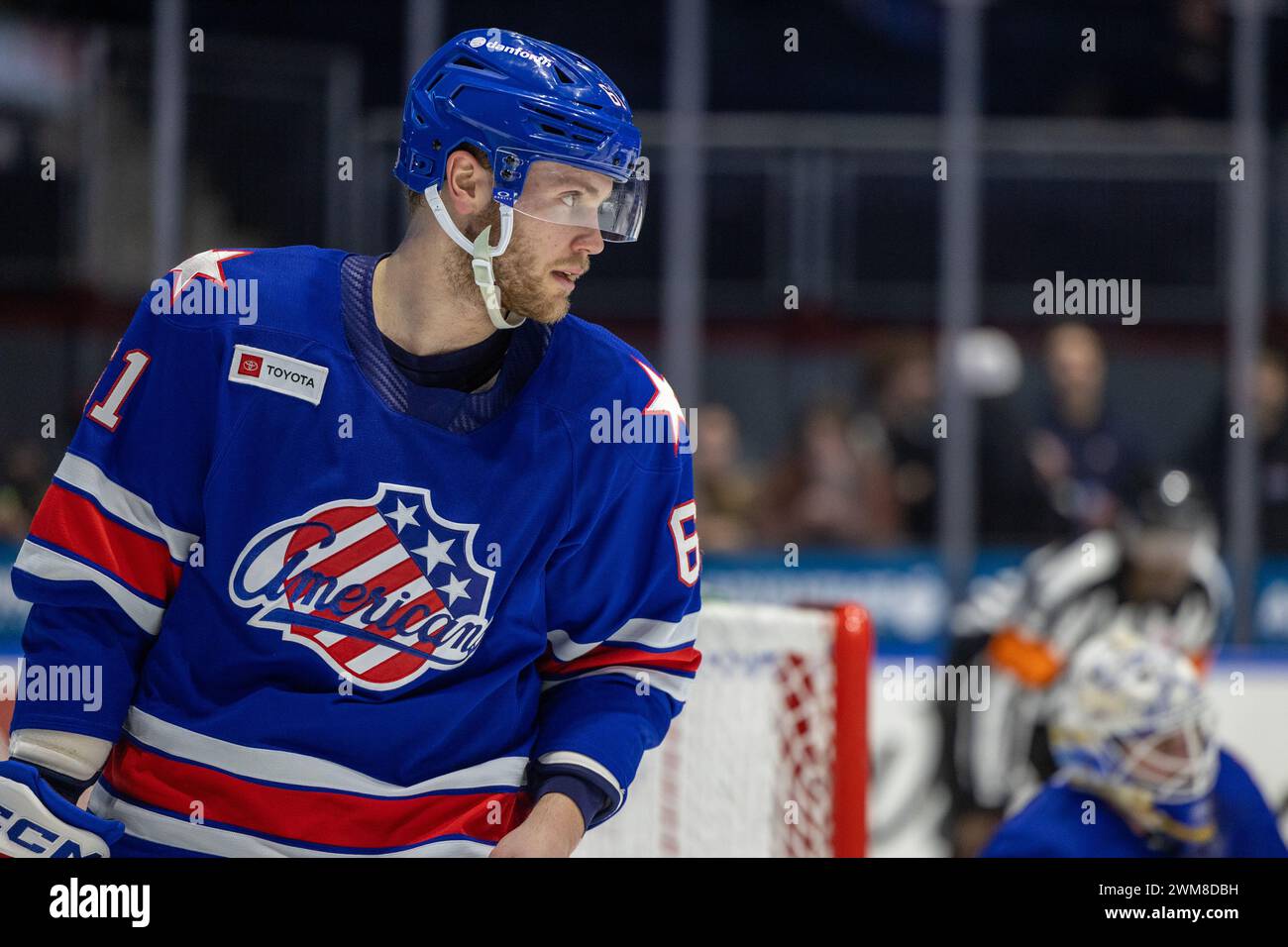 February 21st, 2024: Rochester Americans defenseman Riley Stillman (61 ...