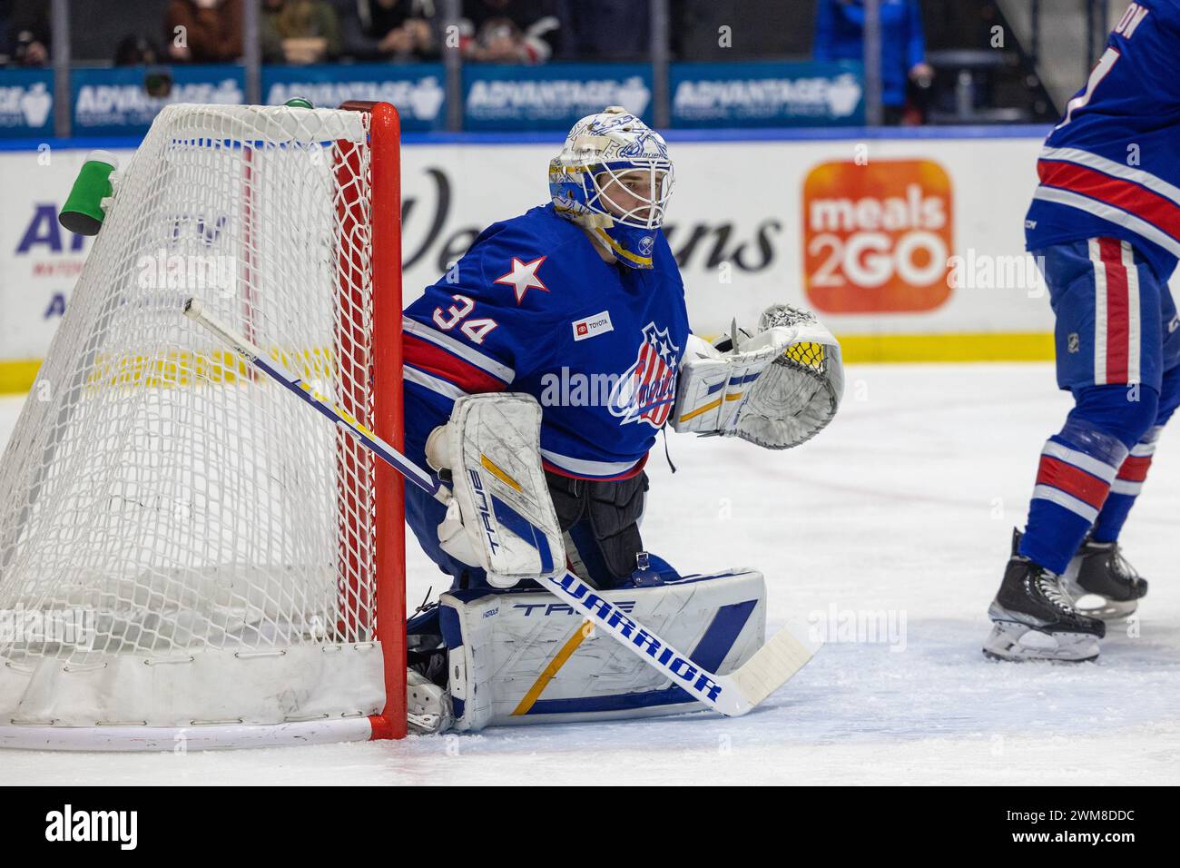 February 21st, 2024: Rochester Americans goaltender Dustin Tokarski (34 ...