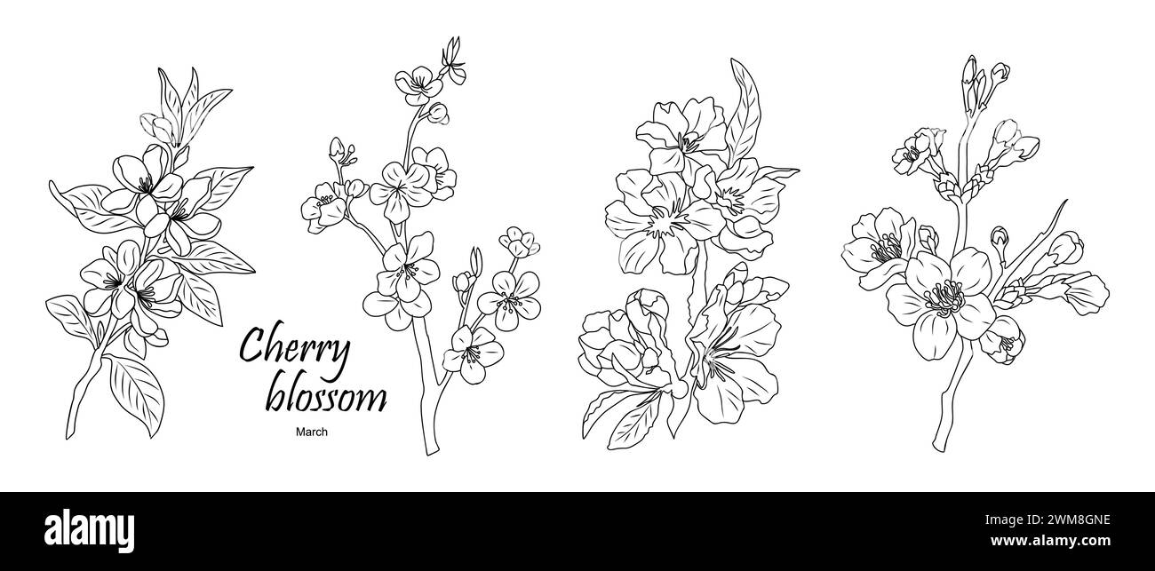 Month march Black and White Stock Photos & Images - Alamy