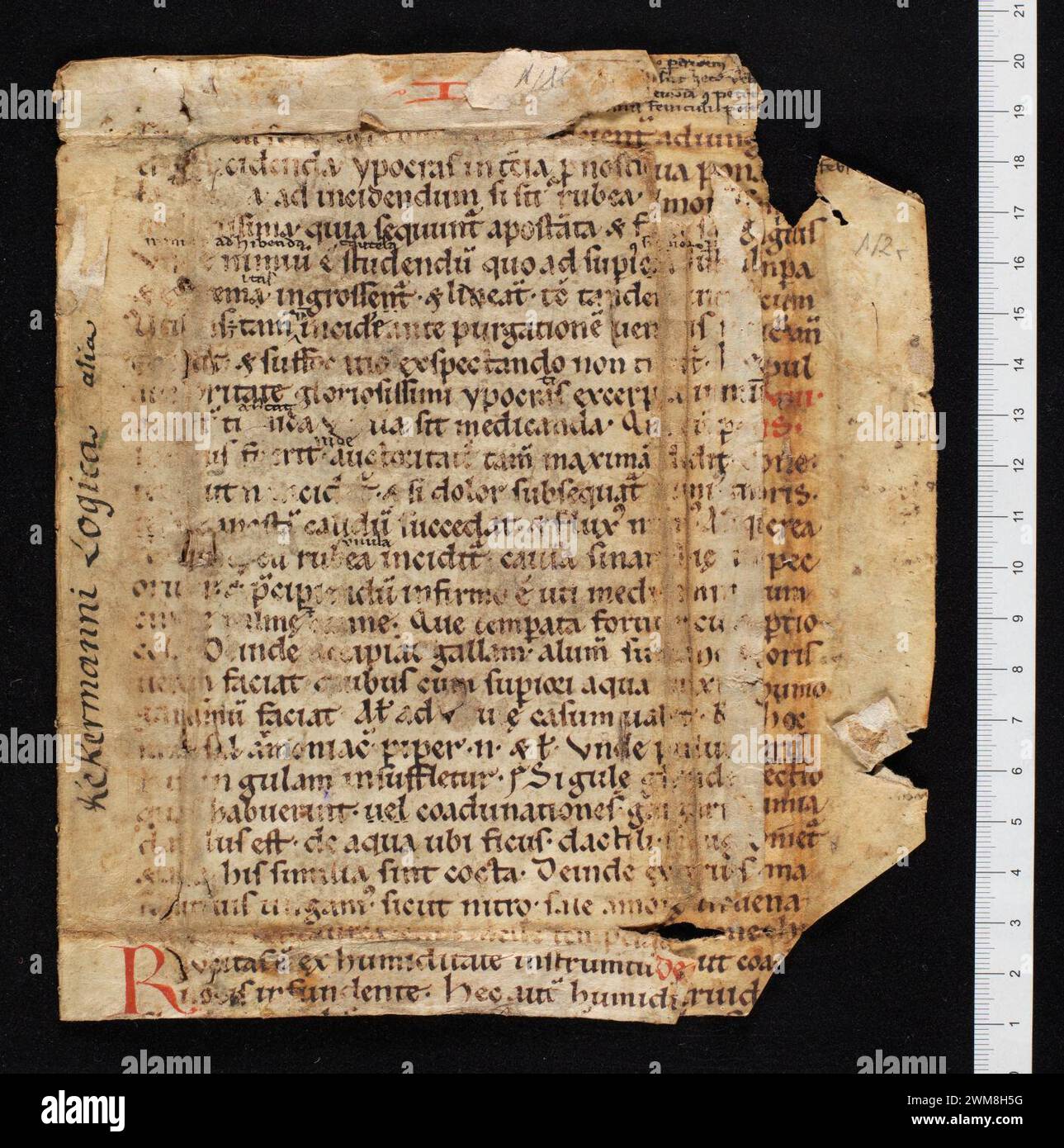 Constantinus africanus hi-res stock photography and images - Alamy