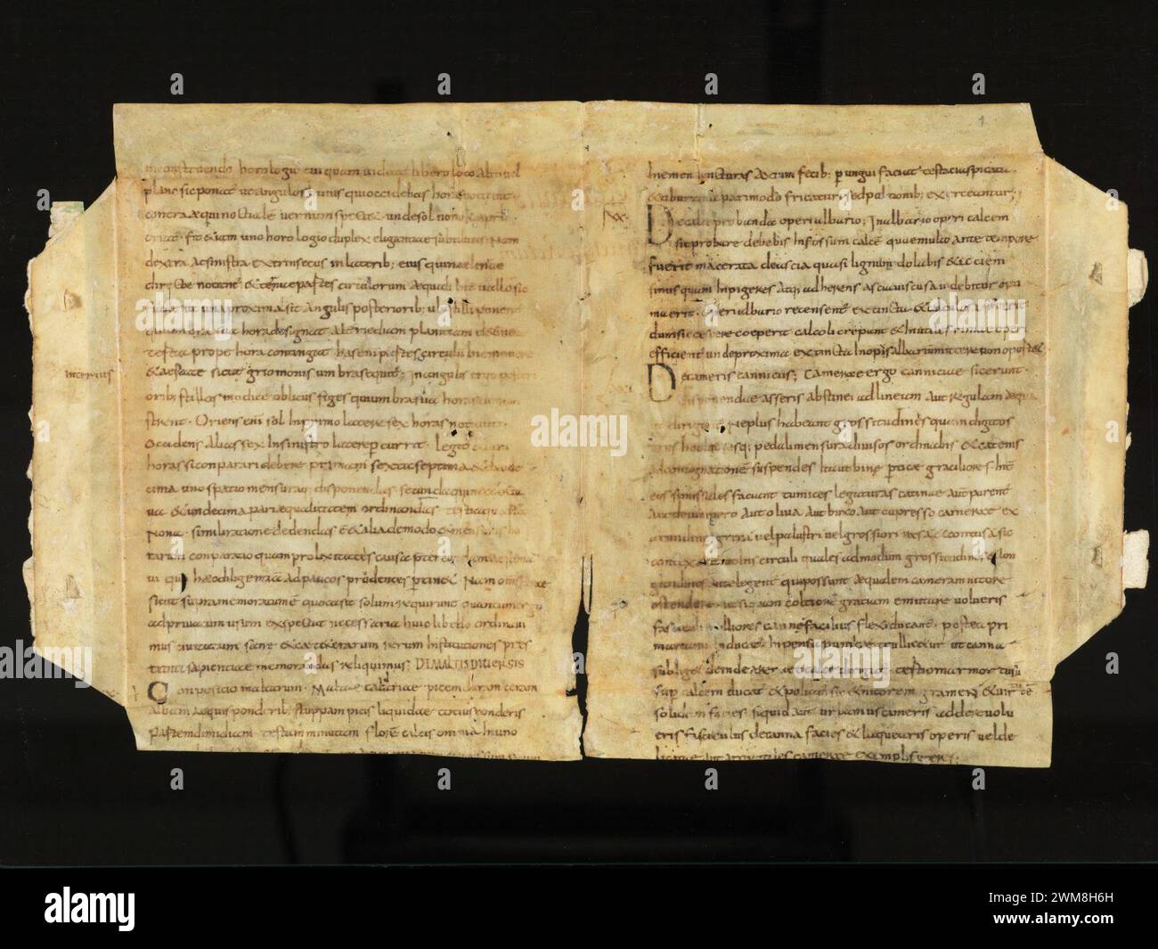 Usibus hi-res stock photography and images - Alamy