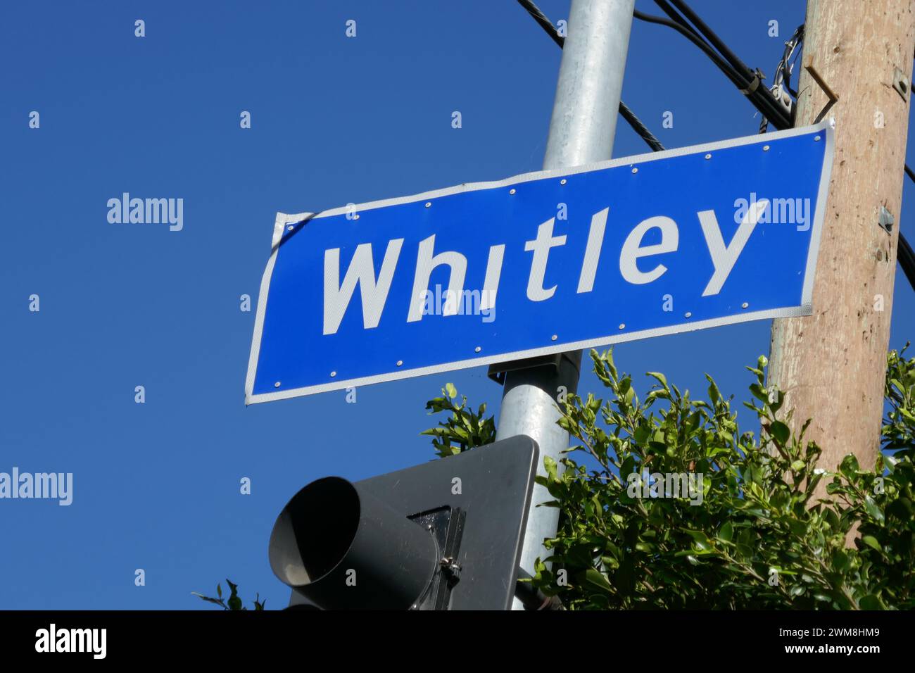 Los Angeles, California, USA 21st February 2024 Actress Besse Hawks ...