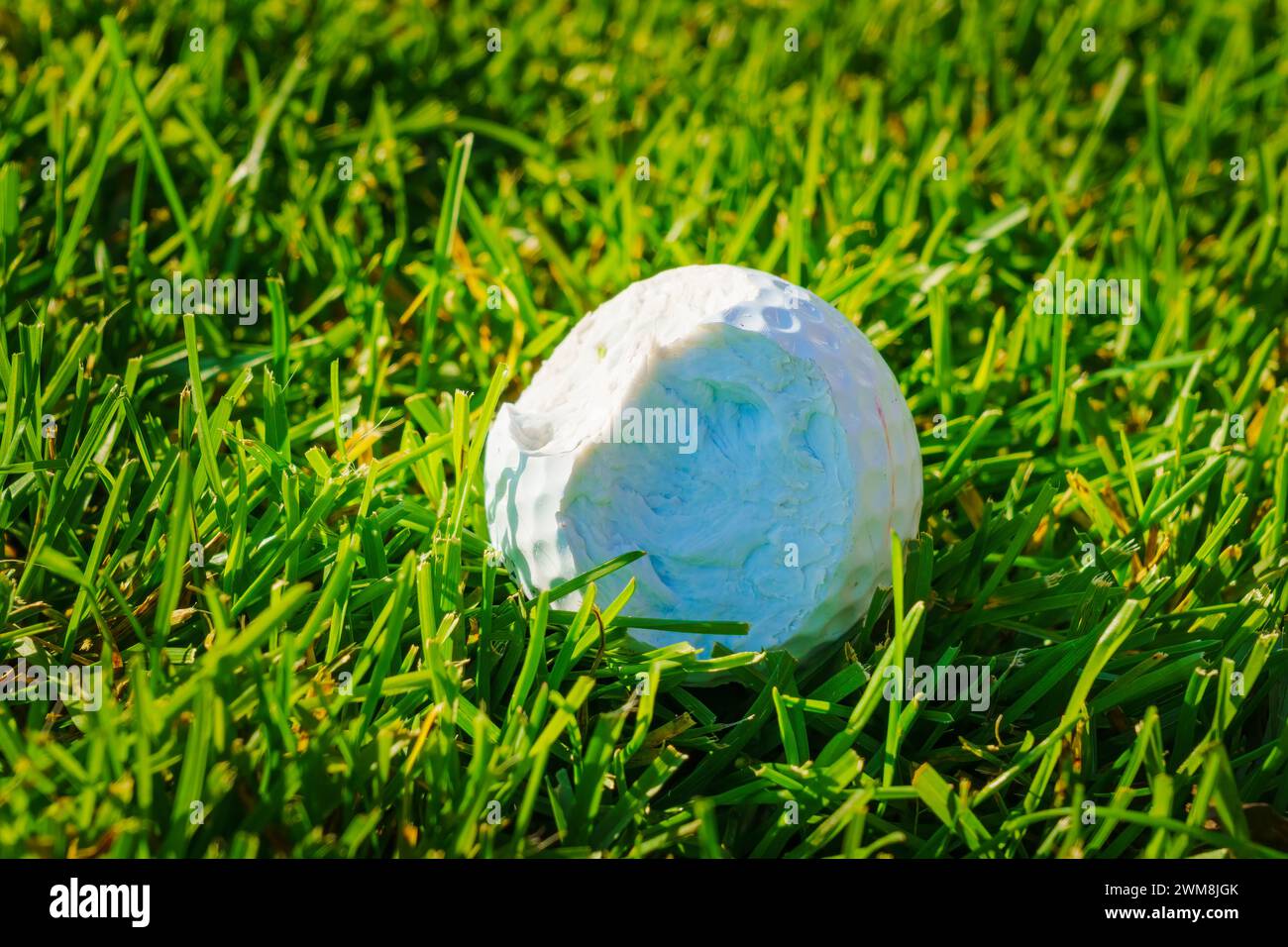 One broken white golf ball lays on green grass. Damaged golf ball ...