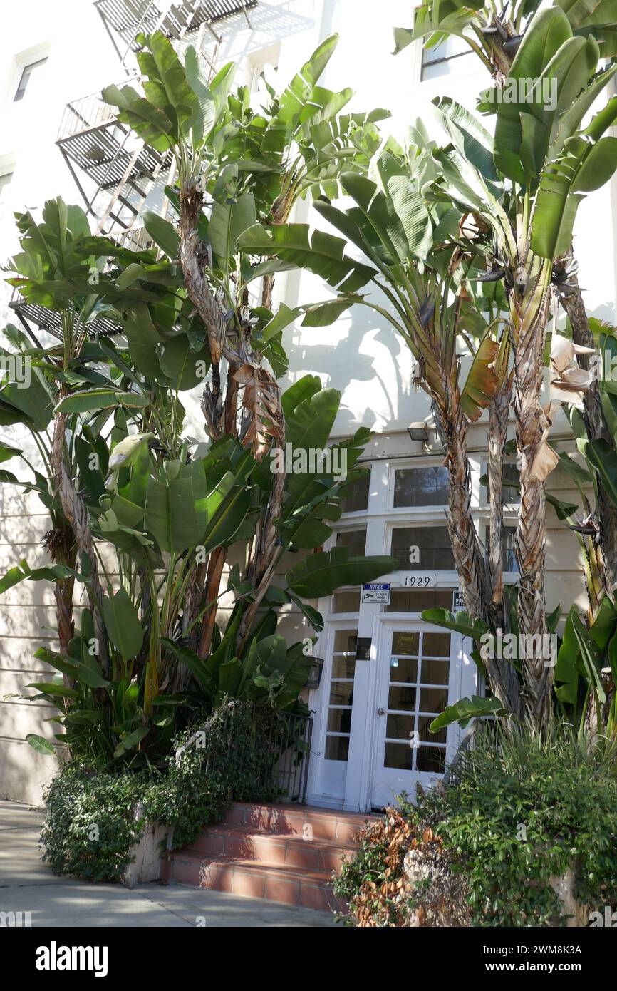 Los Angeles, California, USA 21st February 2024 Actress Viola Dana ...