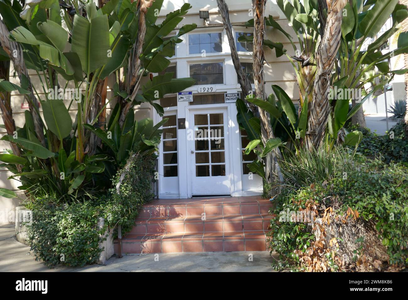 Vera marshe hi-res stock photography and images - Alamy