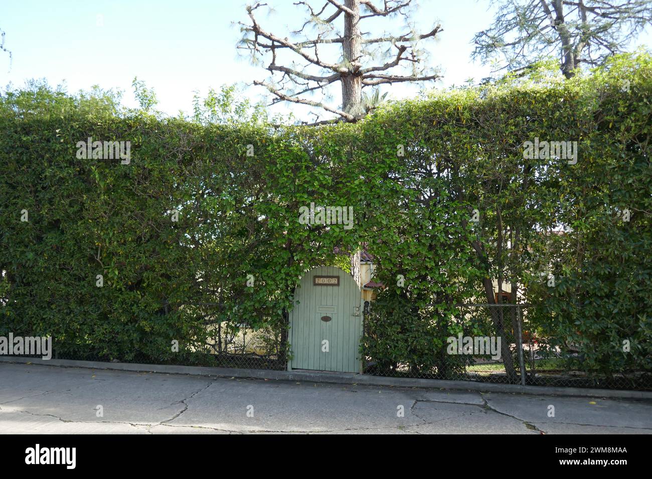 Los Angeles, California, USA 21st February 2024 Actor Wesley Russell ...
