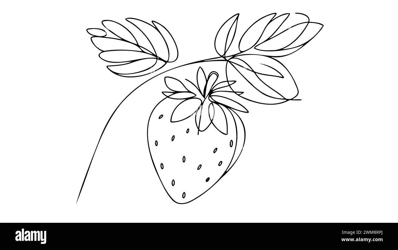One continuous line drawing of isolated vector object - strawberry ...