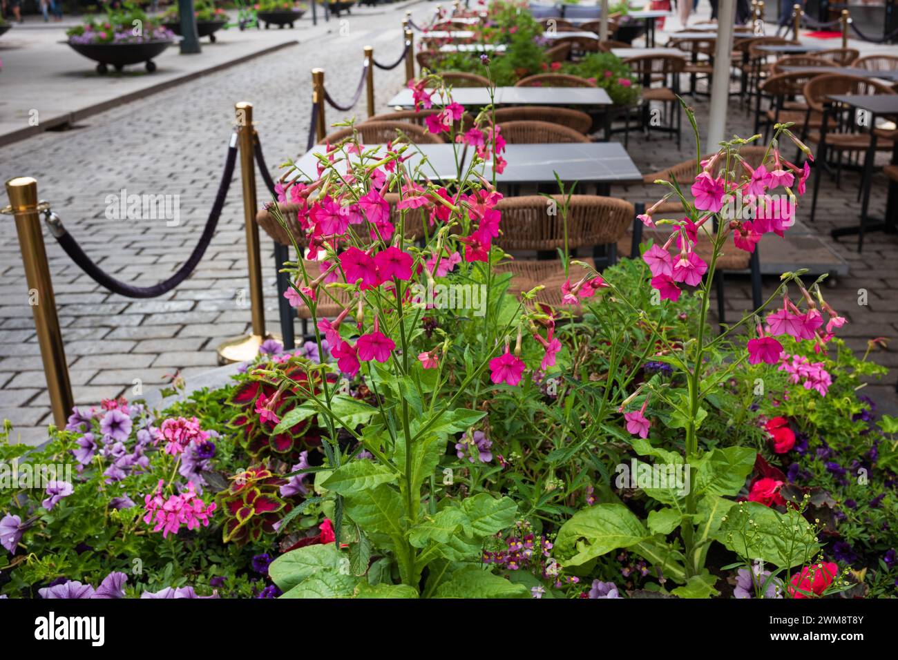 Flower arrangements are common place in public areas around Oslo ...