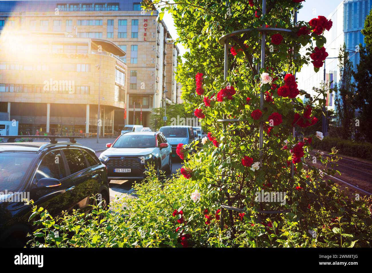 Oslo, Norway, June 22, 2023: Flower arrangements are common place in ...