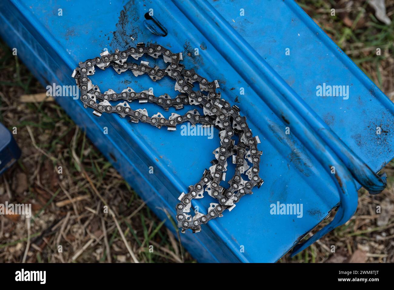 Chainsaw on blue background hi-res stock photography and images - Alamy