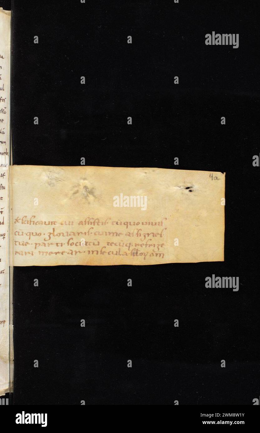 Cod. E 219, f. 4ar – Salvianus Massiliensis Epistulae (fragment Stock ...