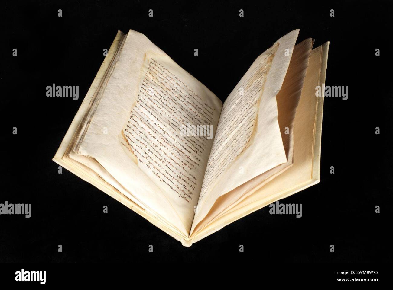 Cod. E 219, Open view – Salvianus Massiliensis Epistulae (fragment ...