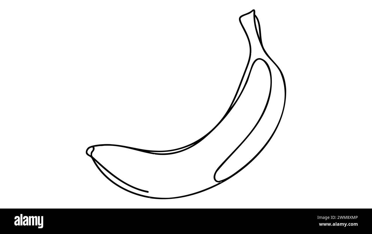 One continuous line drawing of isolated vector object - banana Stock ...