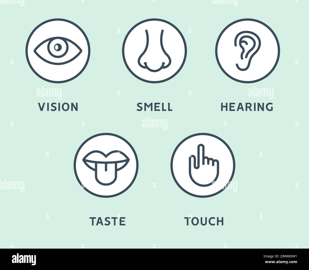 Five human senses vision eye, smell nose, hearing ear, touch hand ...