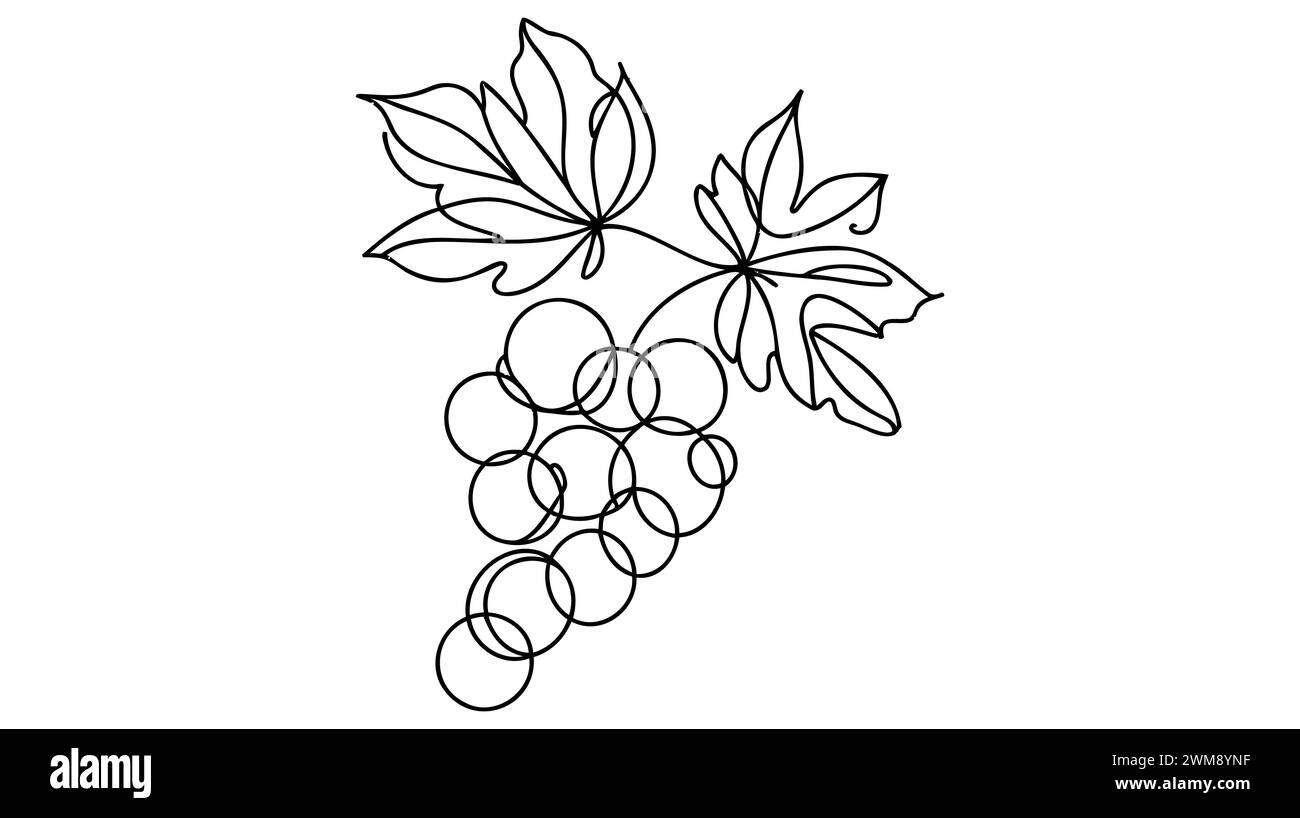 Single continuous line drawing healthy organic grapes for vineyard logo ...