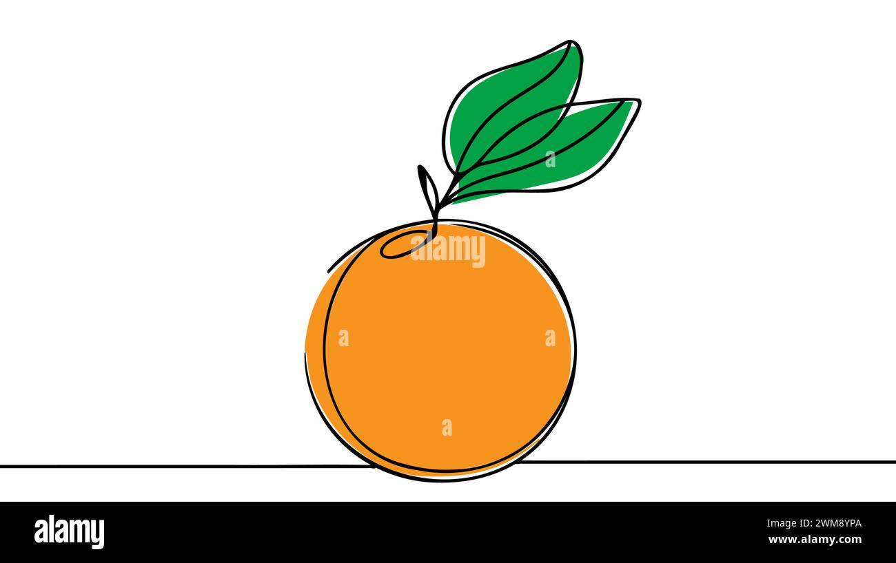 Orange fruit in continuous line art drawing style. Black line sketch on ...