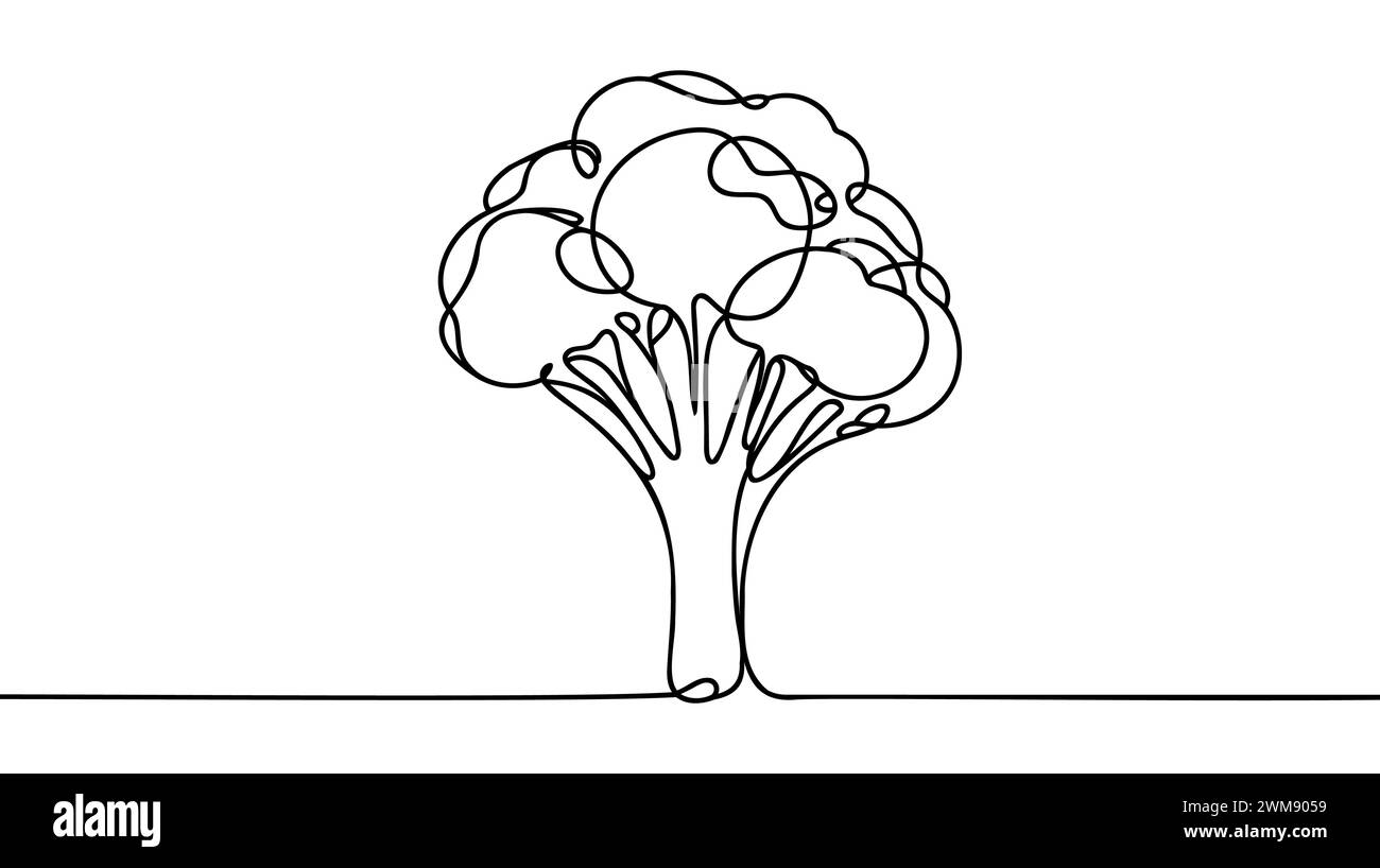 Continuous single drawn one line broccoli vegetables hand-drawn picture ...