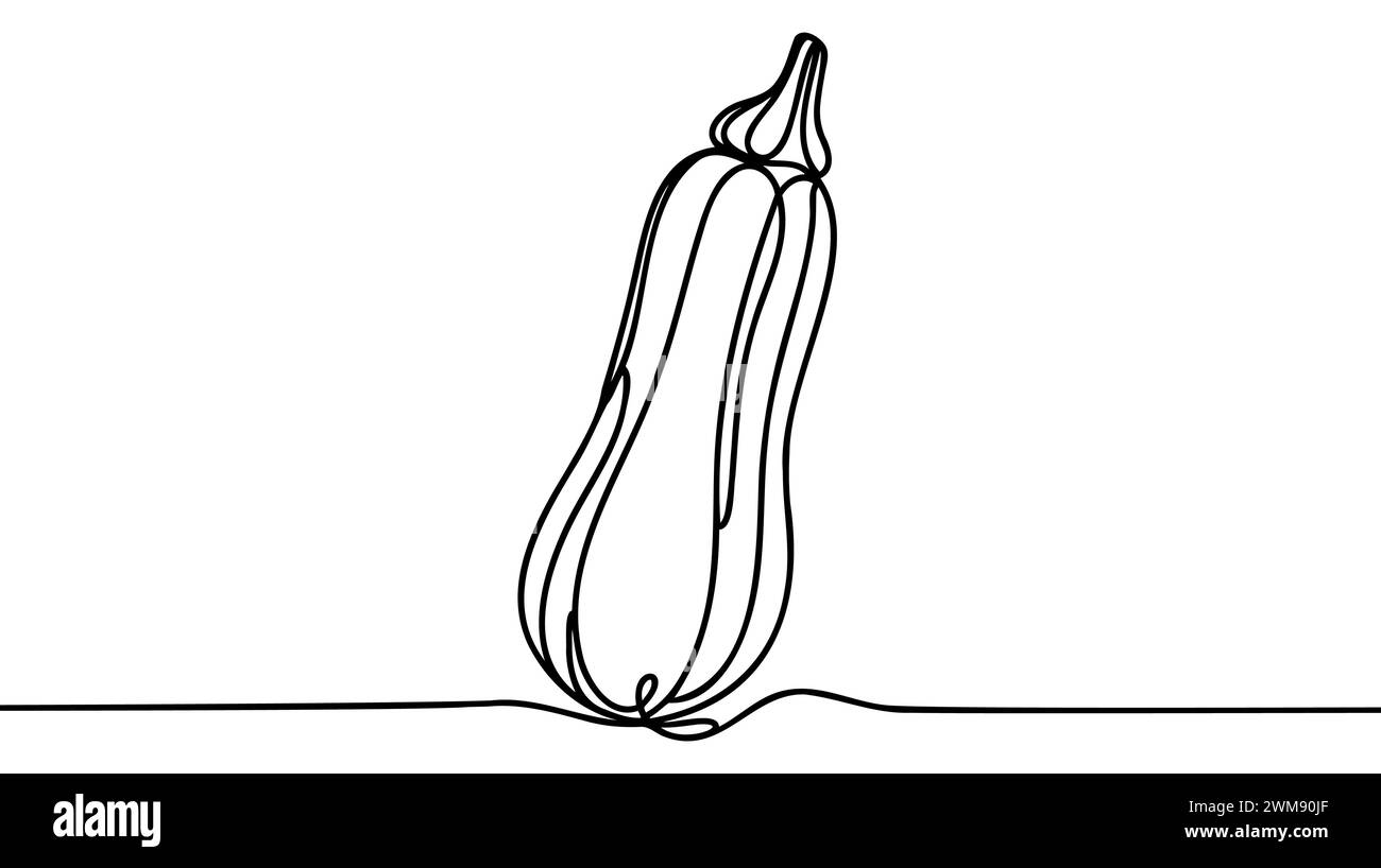 Zucchini continuous line drawing. One line art of squash, vegetable ...