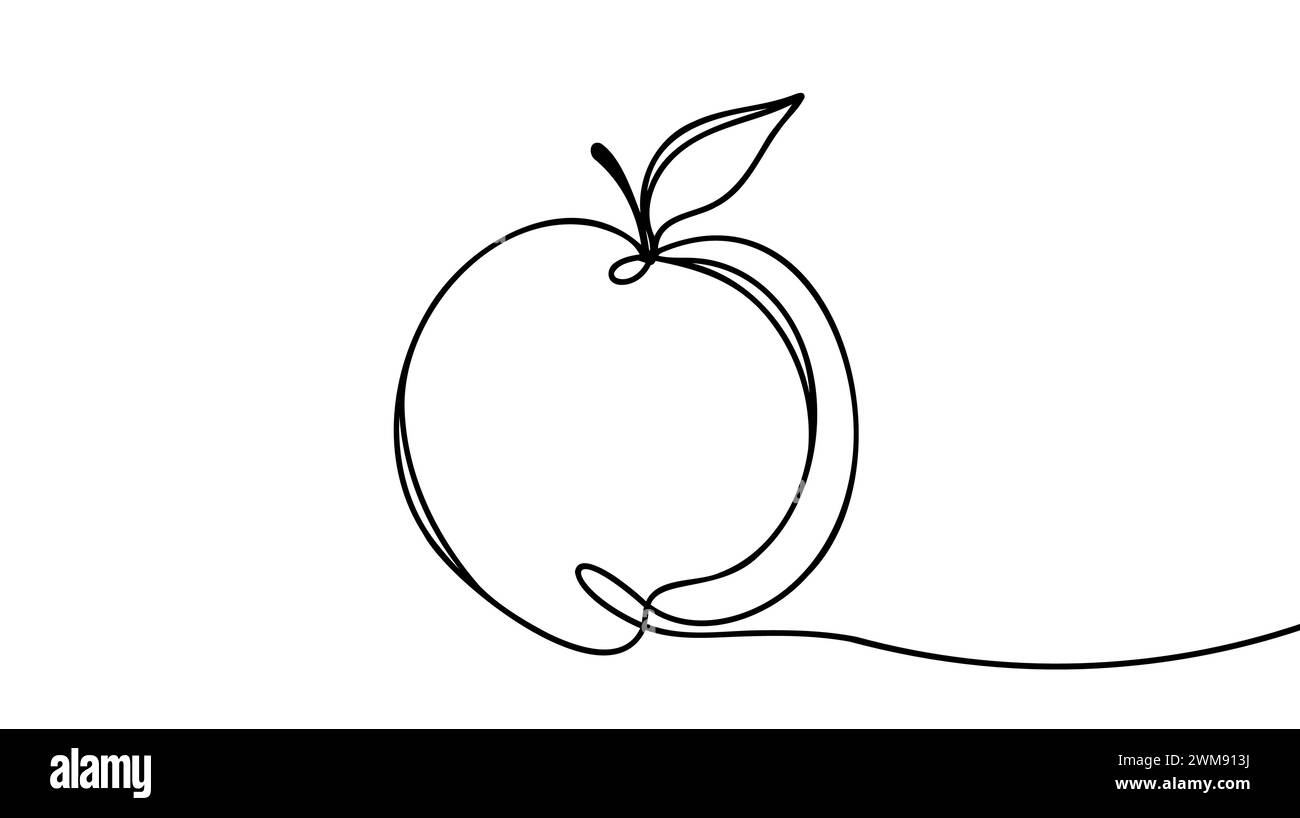 Peach fruit in continuous line art drawing style. Simple black sketch ...