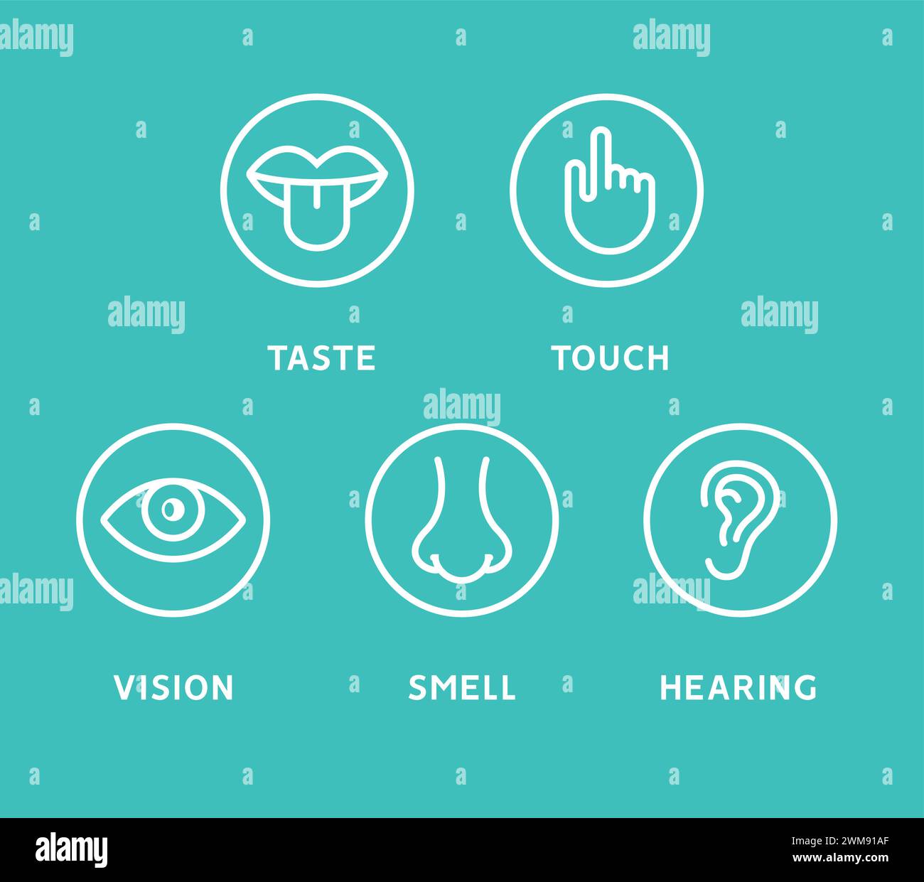 Five human senses vision eye, smell nose, hearing ear, touch hand ...