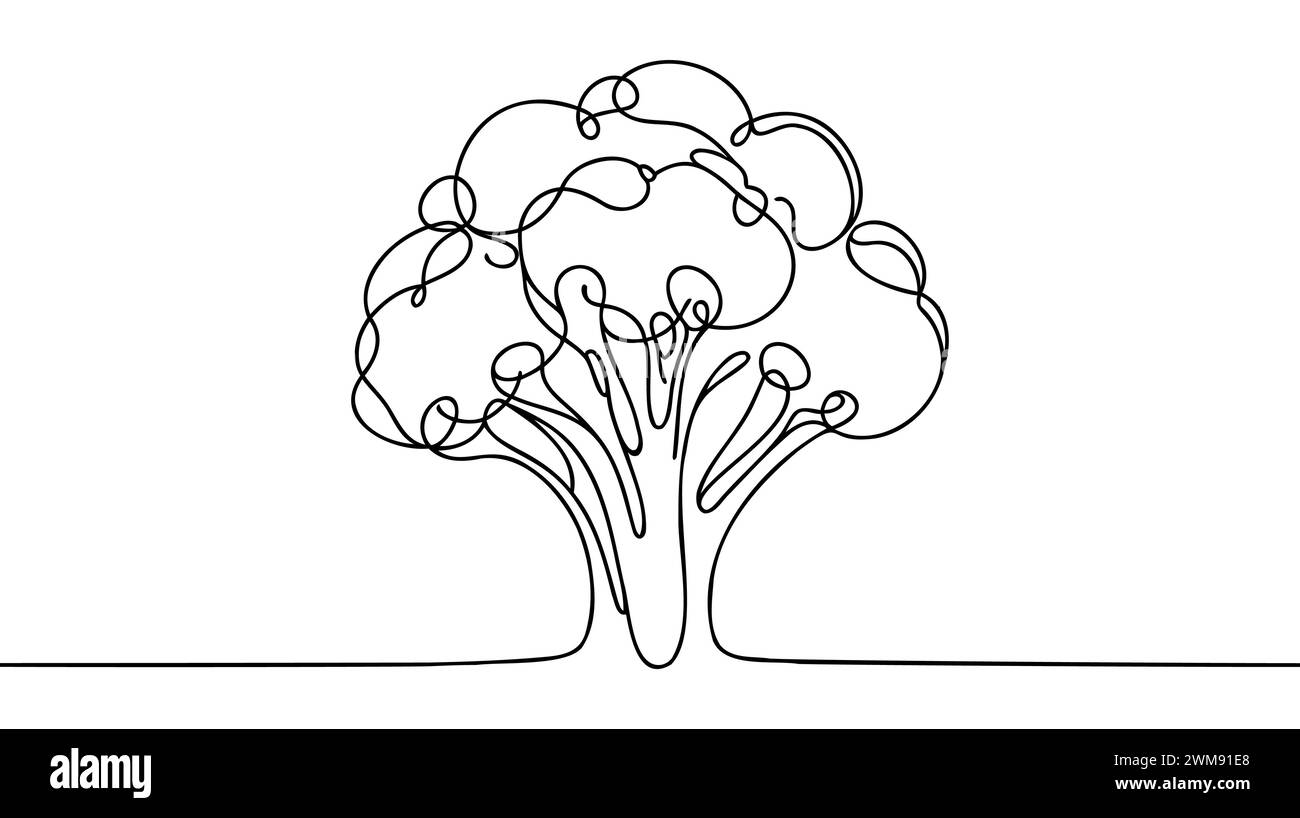 Continuous single drawn one line broccoli vegetables hand-drawn picture ...