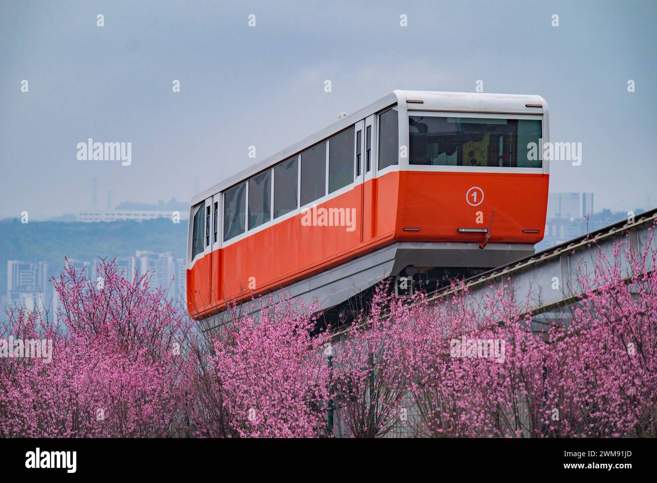 CHONGQING, CHINA - FEBRUARY 24, 2024 - A sightseeing cable car shuttles ...