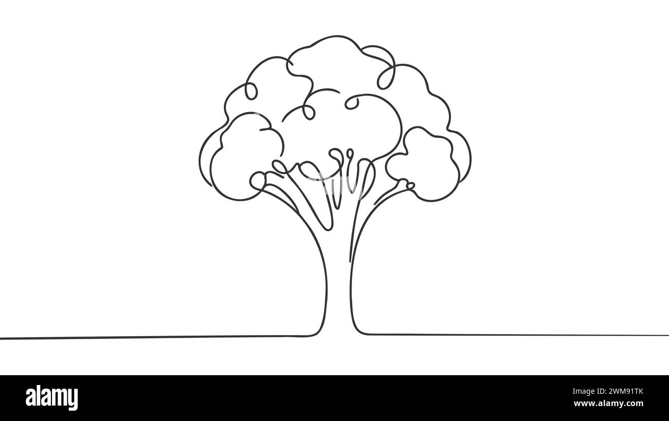 Continuous single drawn one line broccoli vegetables hand-drawn picture ...