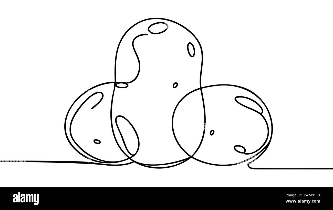 Potatoes vector illustration. One continuous line drawing art ...