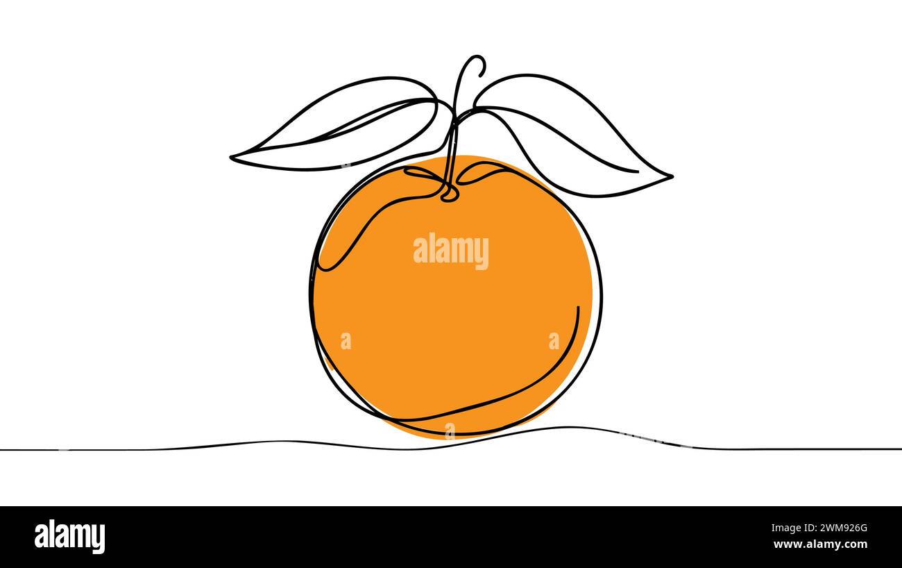 Orange fruit in continuous line art drawing style. Black line sketch on ...