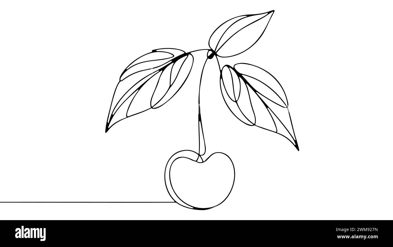 Cherry fruit in continuous one line art drawing style. Minimalist black ...