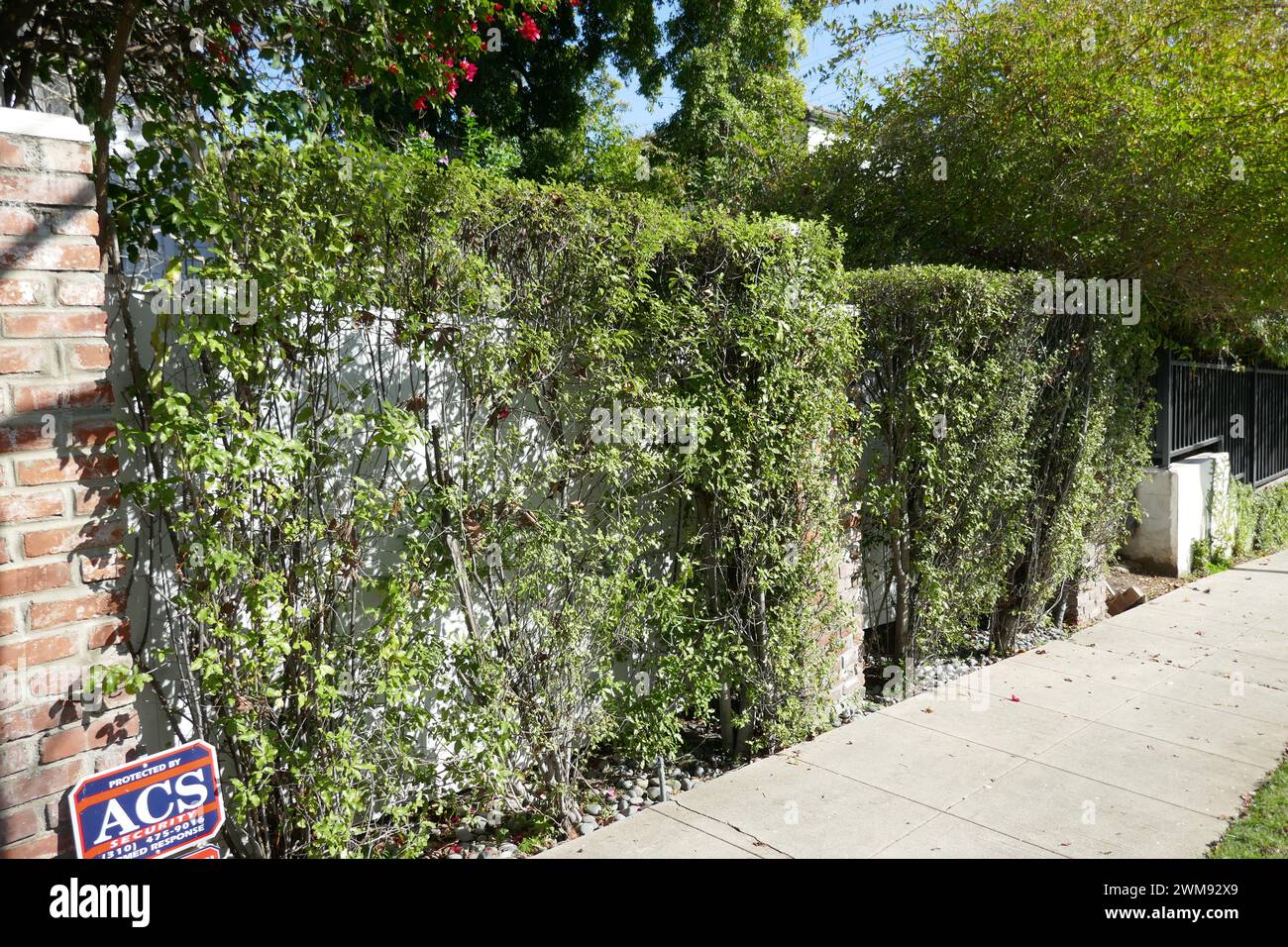 Los Angeles, California, USA 22nd February 2024 Actor Jamie Bell Former ...