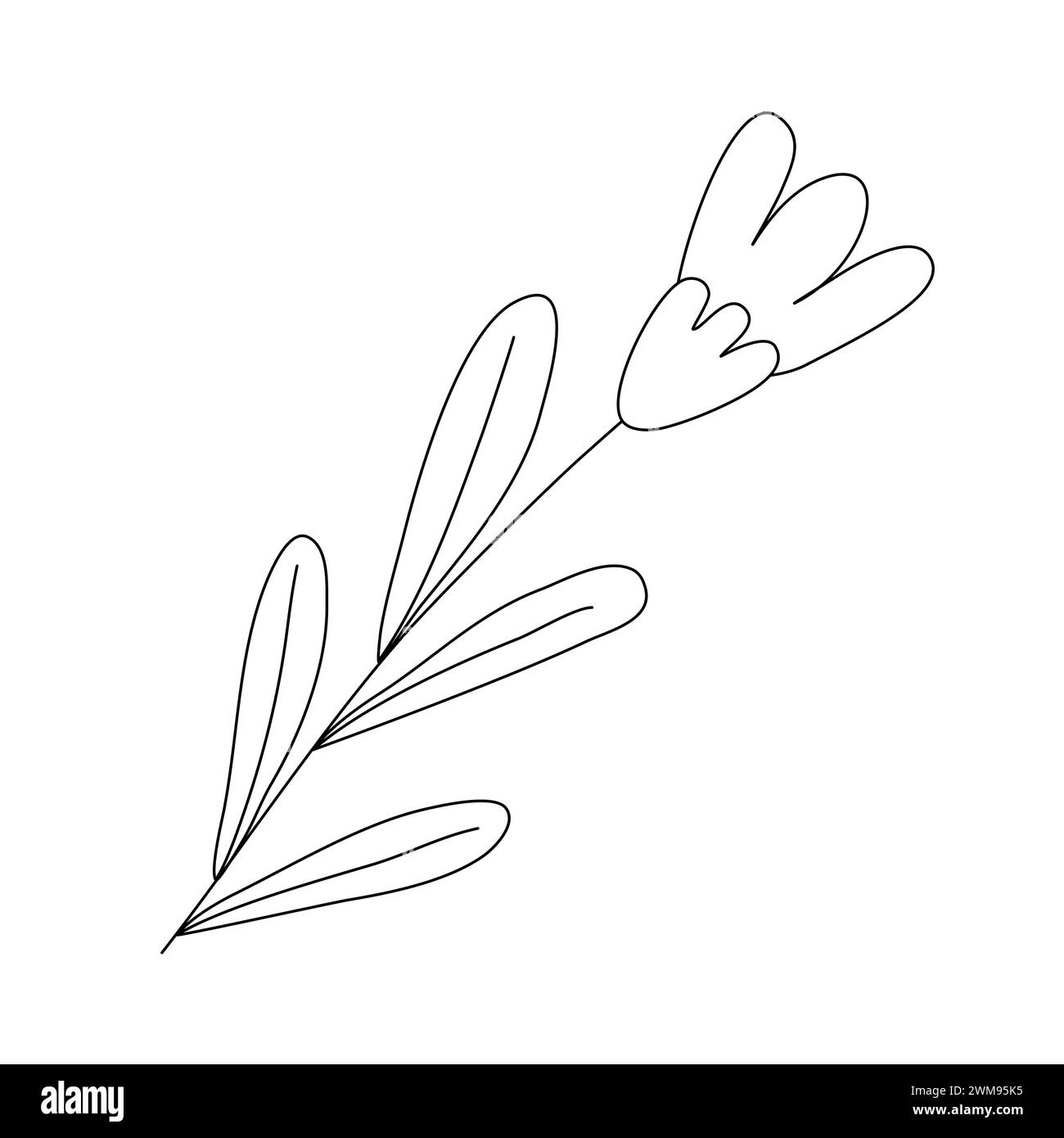 Single spring flower, doodle style flat vector outline illustration for ...