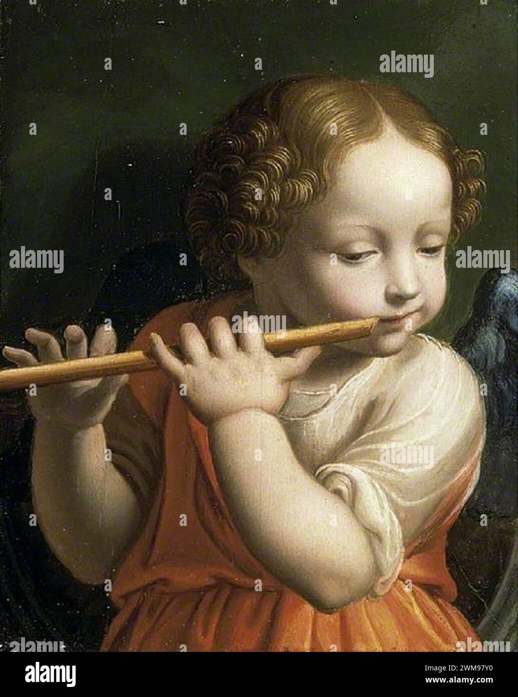 Bernardino Luini (c.1480-c.1532) (attributed to) - Child Angel Playing ...