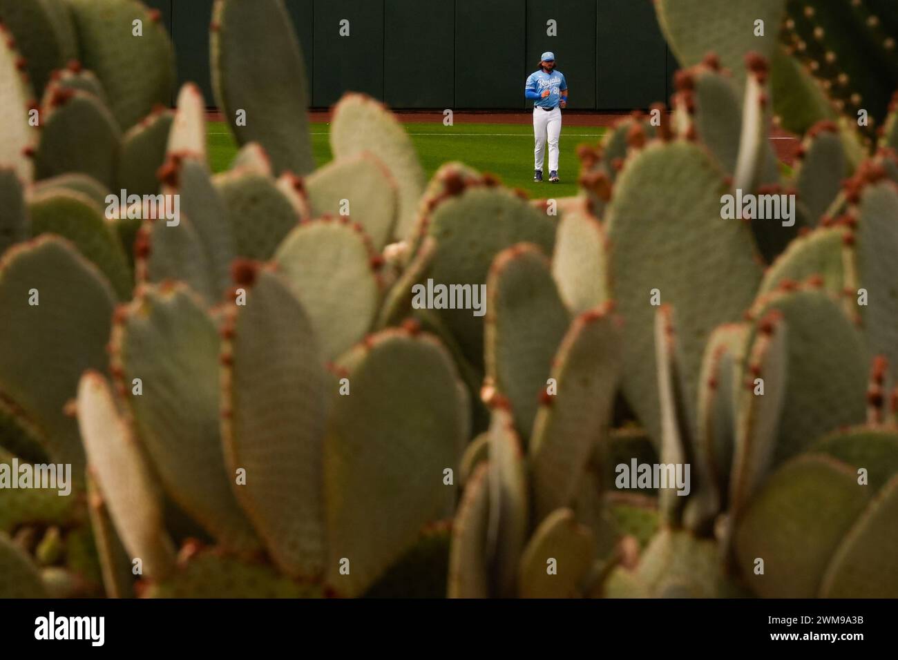 Kansas City Royals catcher Logan Porter warms up in the outfield before ...