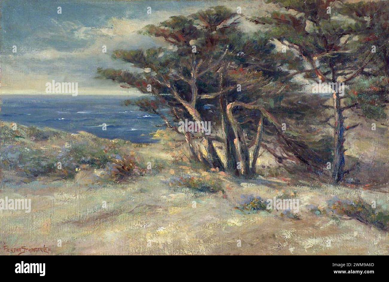 Lee stringer hi-res stock photography and images - Alamy