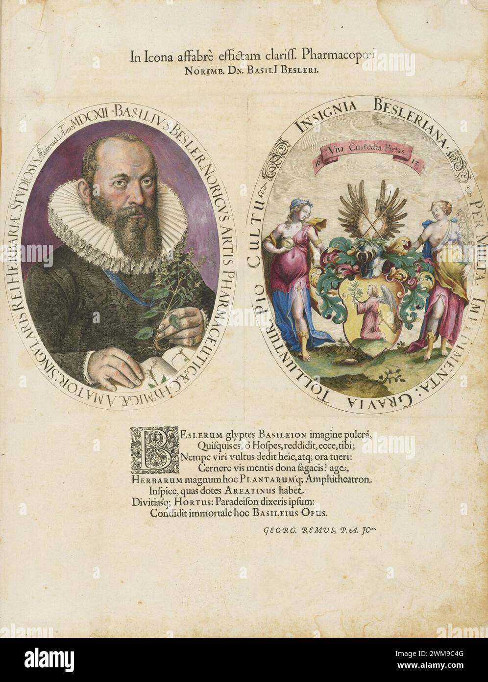 Basilius besler hi-res stock photography and images - Alamy