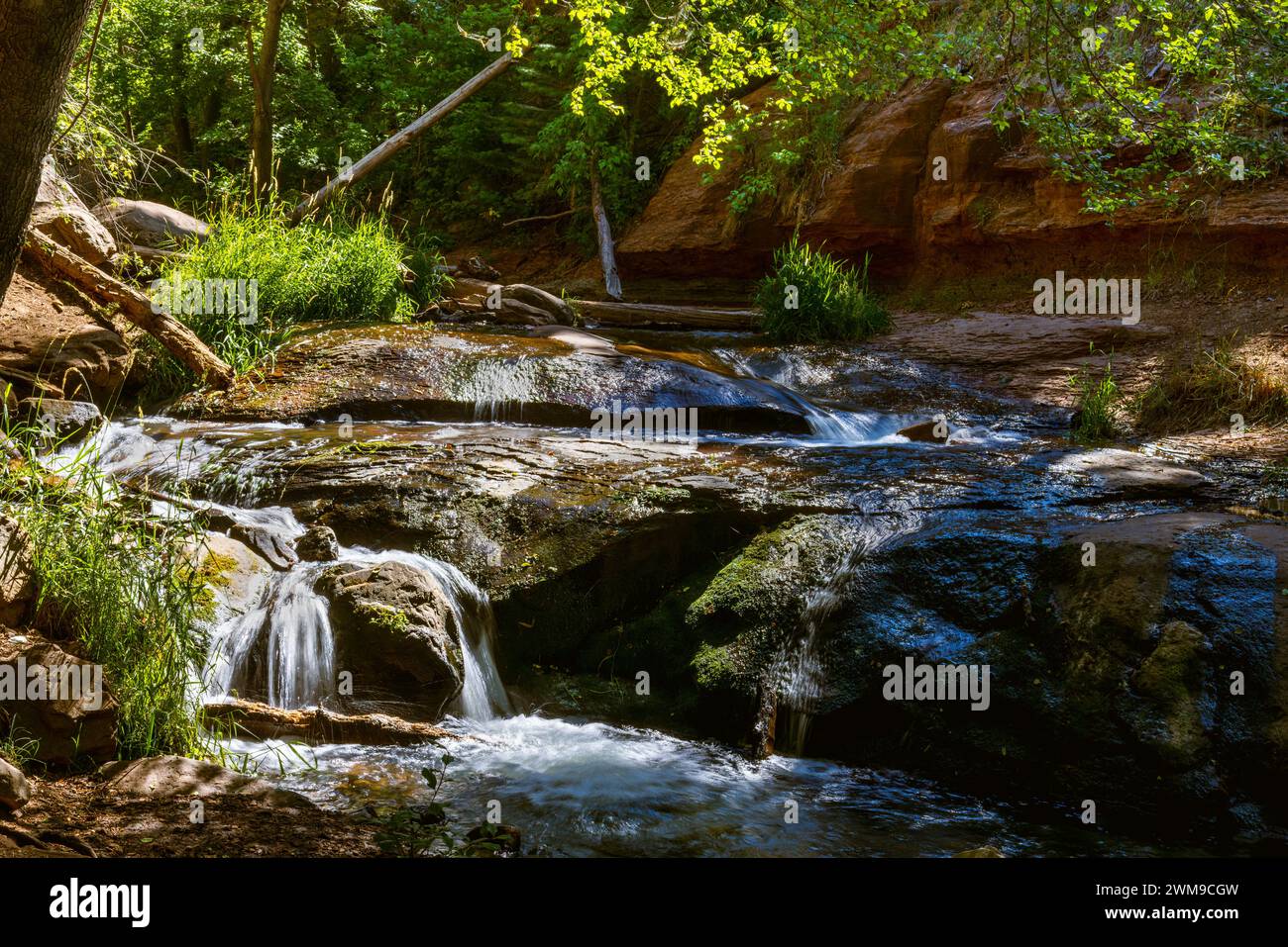 Water cascades over layers of mossy rock along the Tonto Creek in the ...