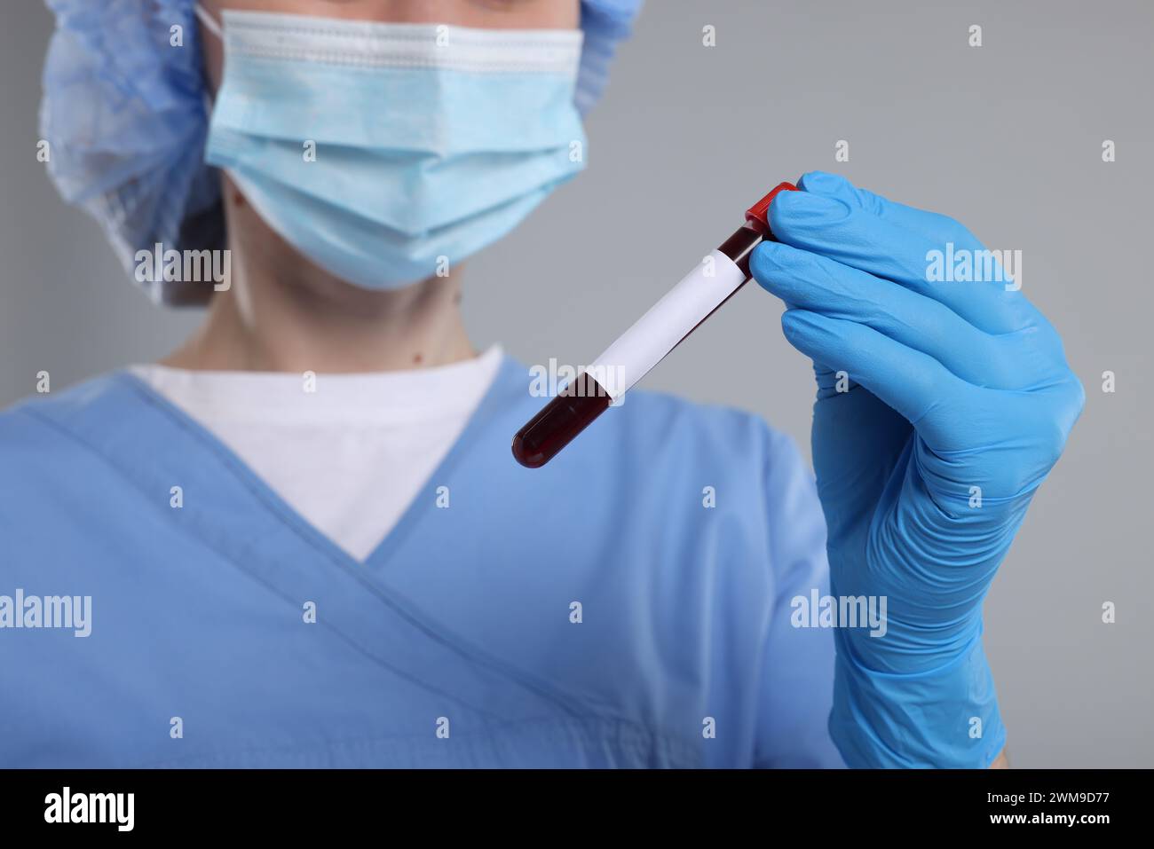 Laboratory testing. Doctor with blood sample in tube on light grey ...