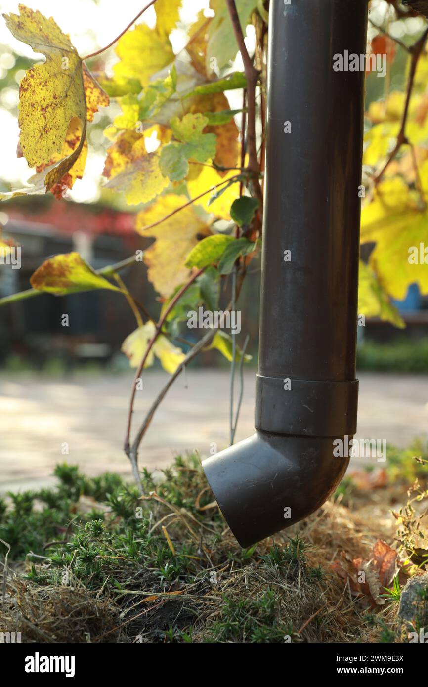 Gutter vertical garden hi-res stock photography and images - Alamy