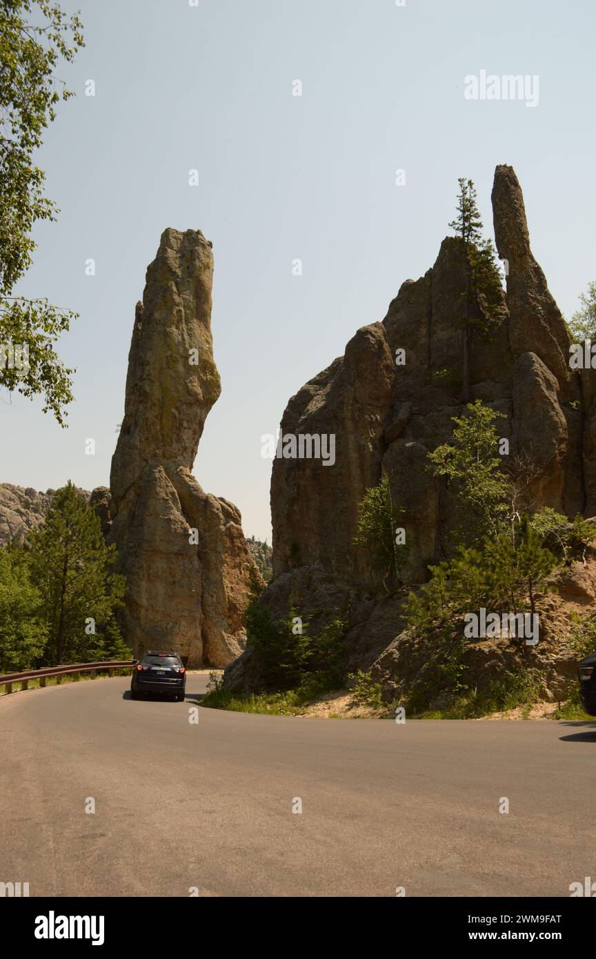 Dakota trees hi-res stock photography and images - Alamy