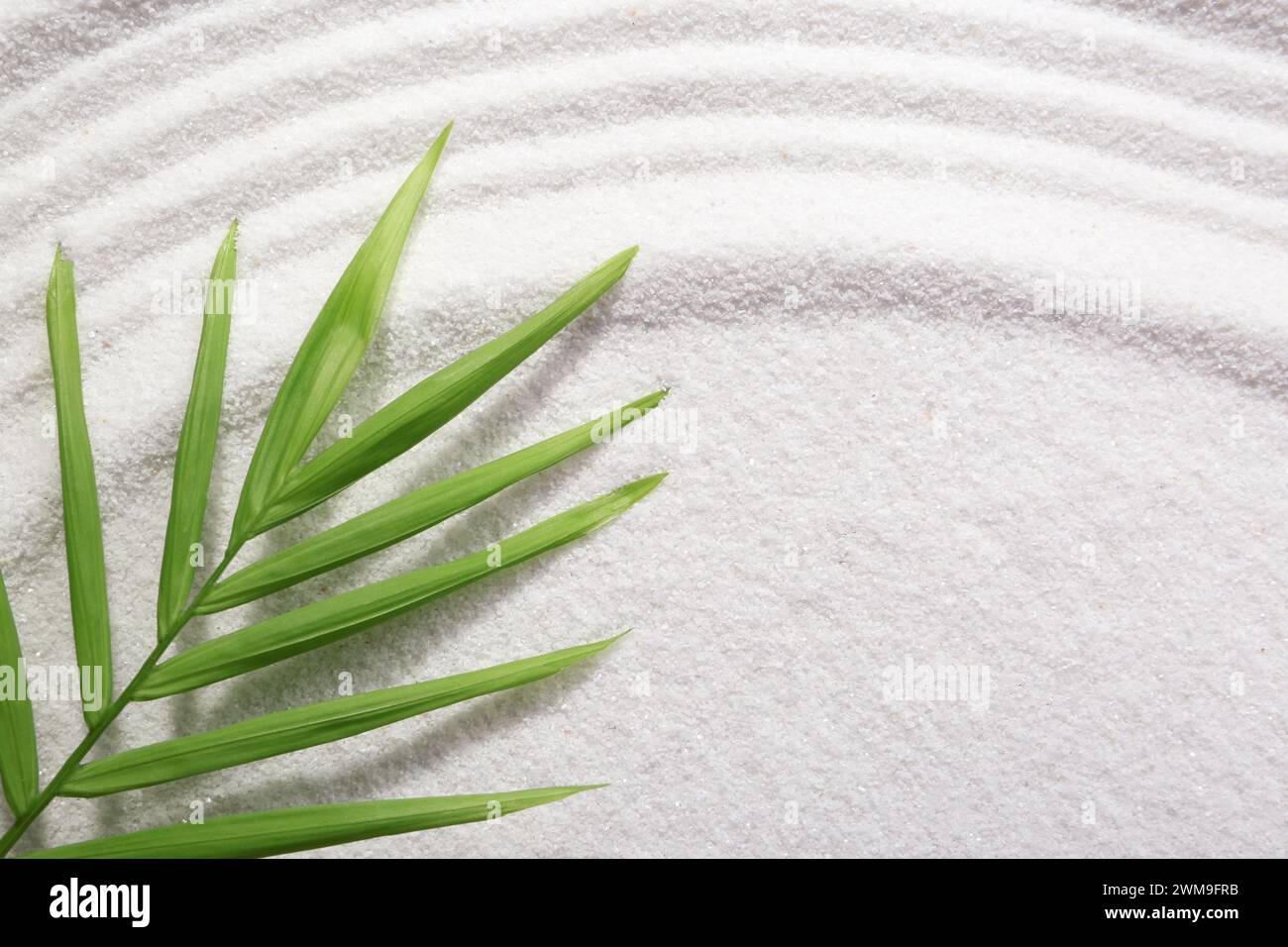Zen rock garden. Wave pattern and green leaf on white sand, top view ...