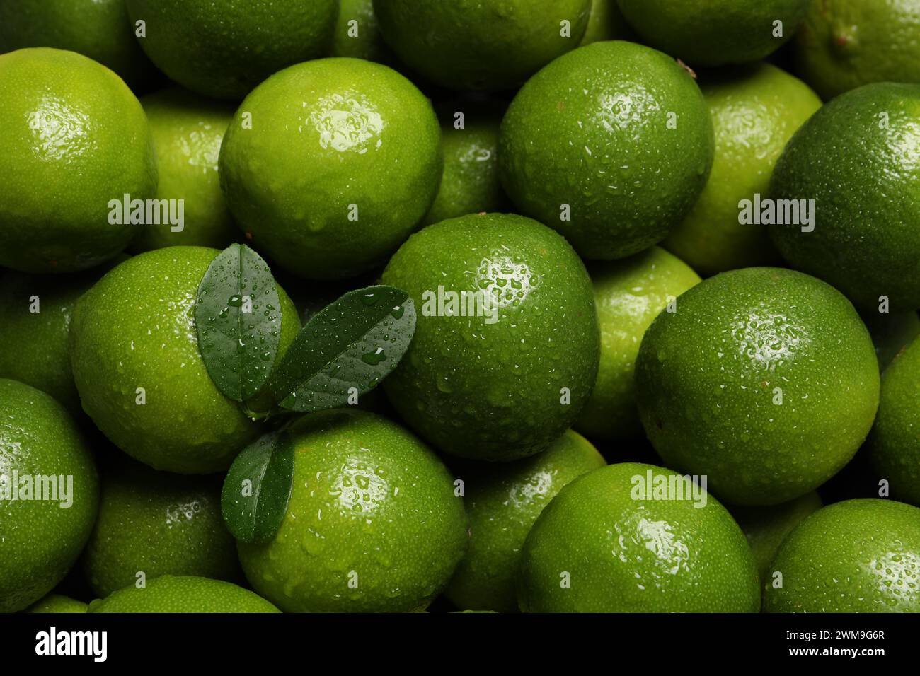 Fresh ripe limes and leaves with water drops as background, top view ...
