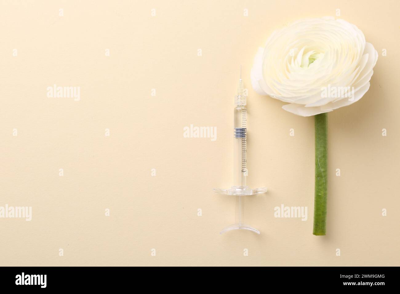 Cosmetology. Medical syringe and ranunculus flower on yellow background ...