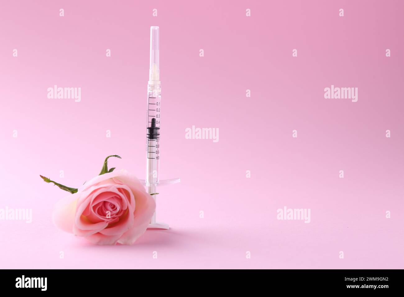 Cosmetology. Medical syringe and rose flower on pink background, space ...