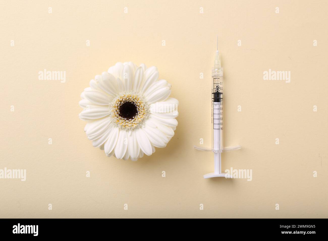 Cosmetology. Medical syringe and gerbera flower on yellow background ...