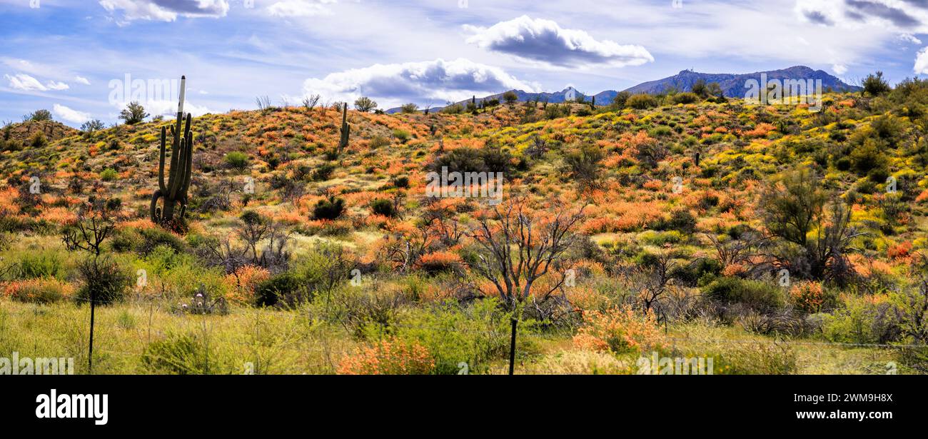 Hwy 188 hi-res stock photography and images - Alamy