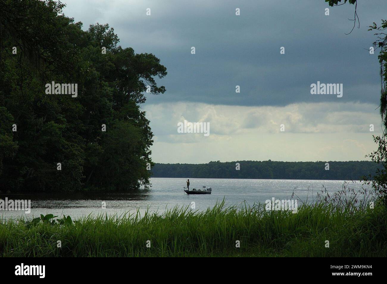 Big Bend Scenic Byway - Lake Talquin State Forest Stock Photo - Alamy